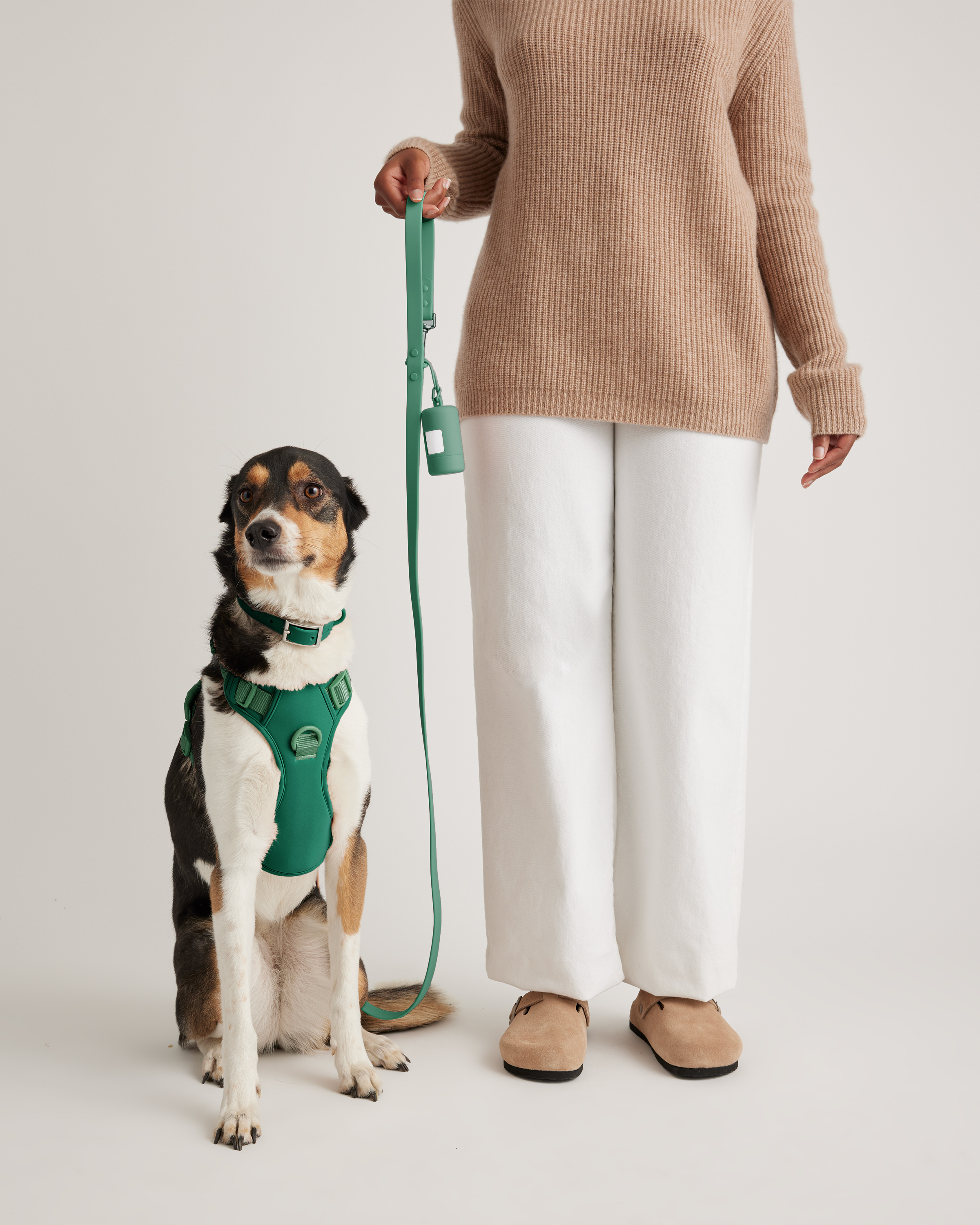 Dog Harness Walk Kit