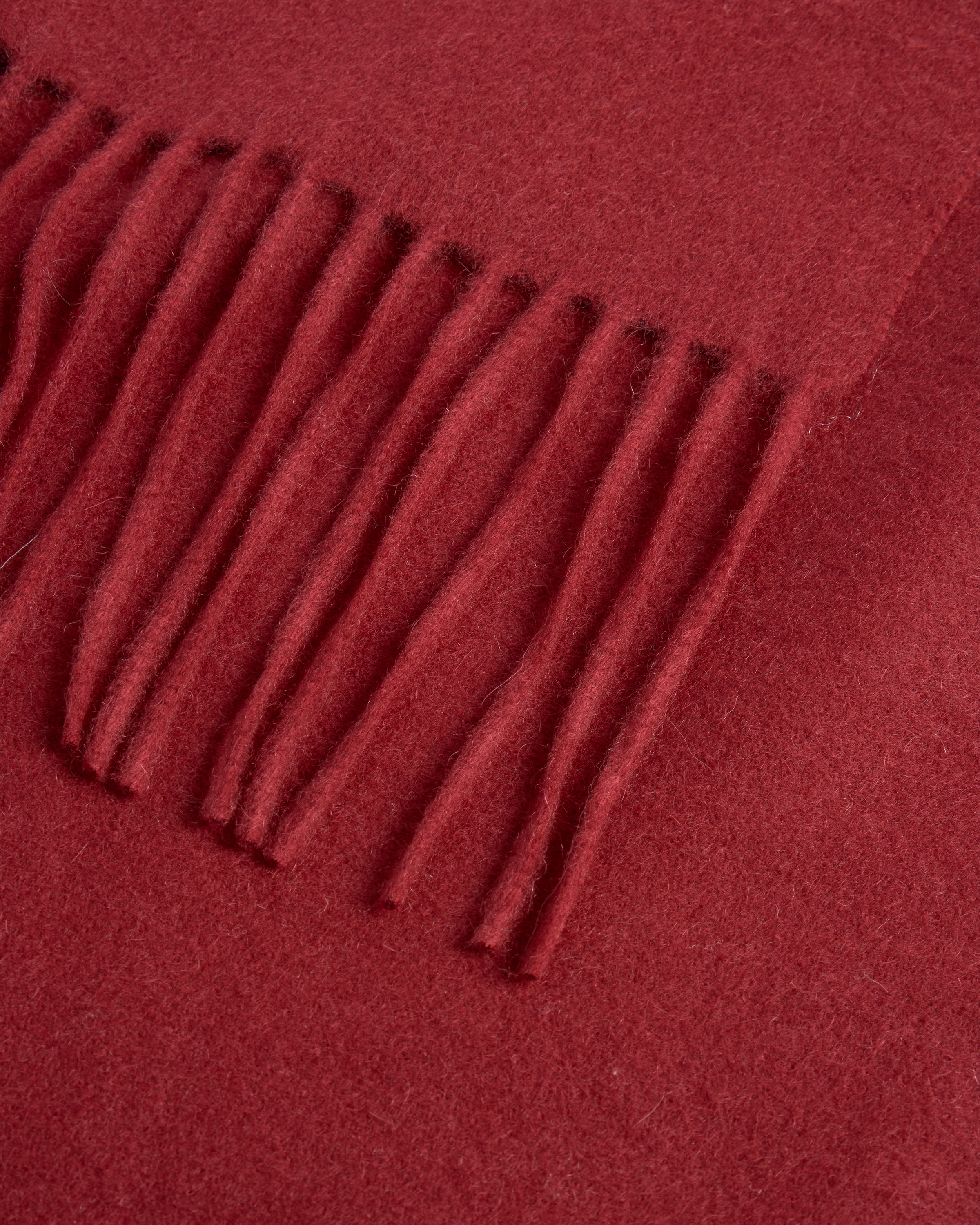 Cashmere Throw | Quince