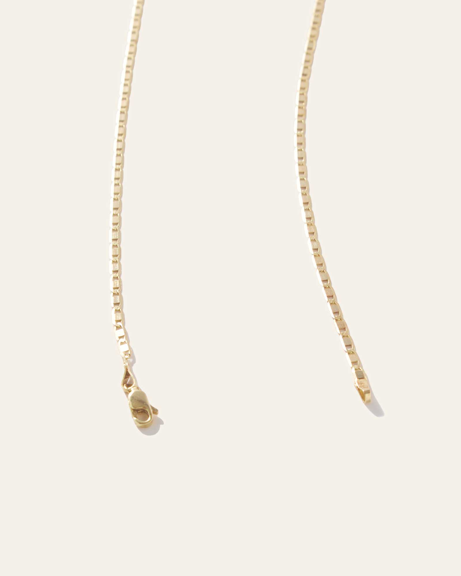 14K Gold Petite Valentino Chain Necklace